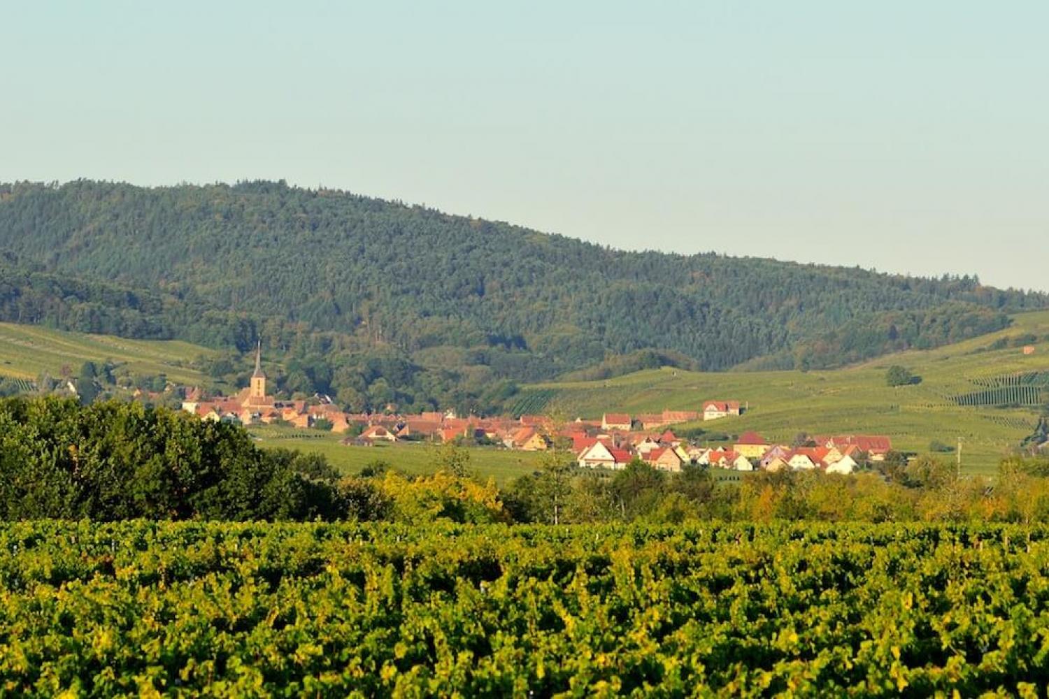 Blienschwiller - Commune | Portail