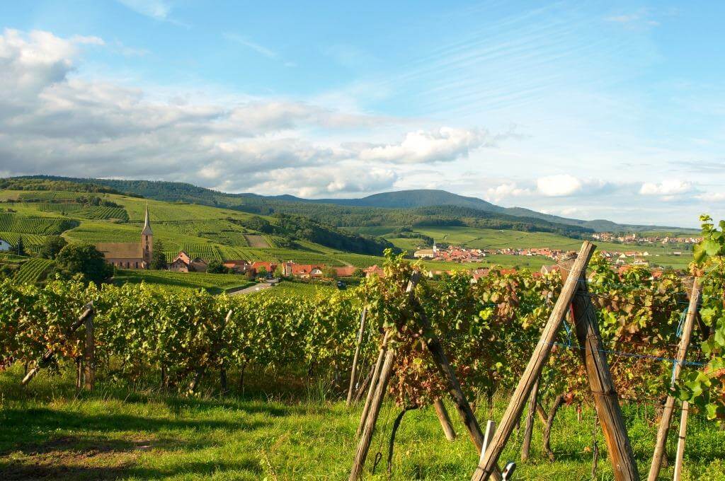 Andlau, à la découverte de la cité de l'ours | Visiter